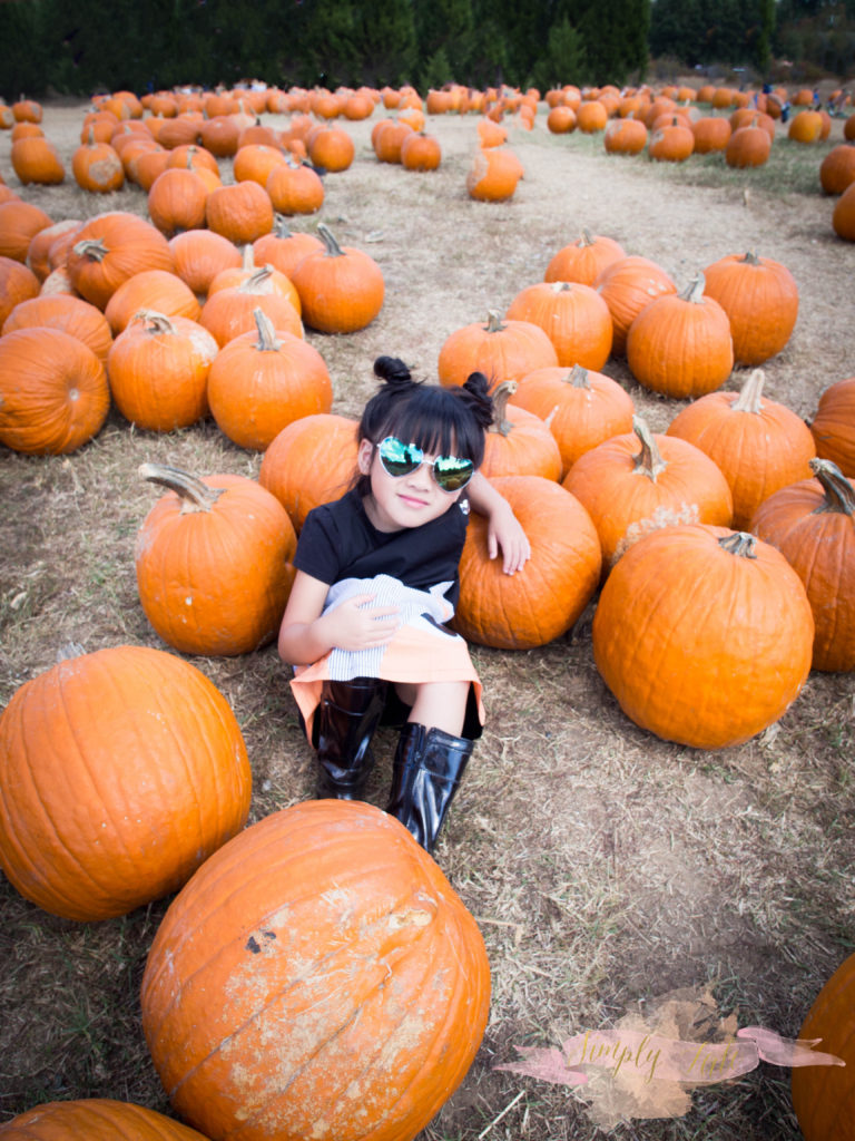 {Savannah} A day at the Pumpkin Patch | Simply Tale